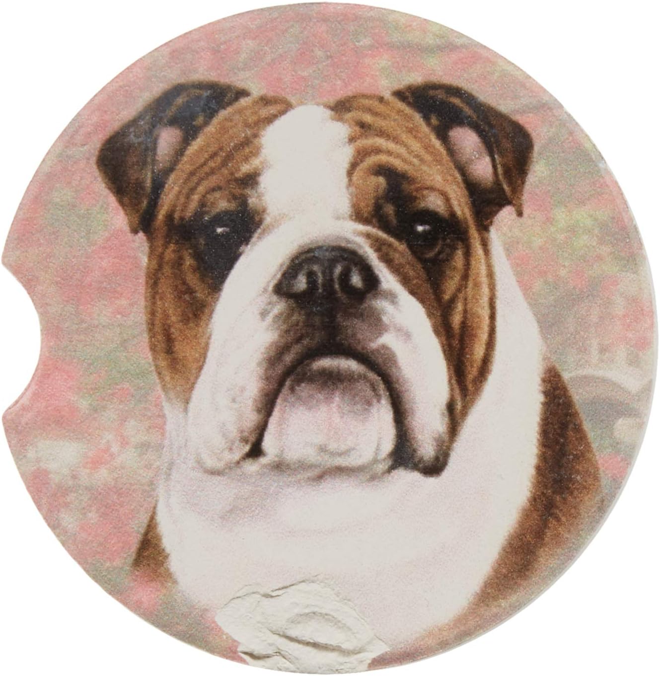 Amazon.com : E&S Pets Bulldog Coaster, 3" x 3" : Pet Supplies