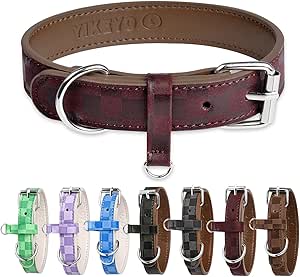 Amazon.com : Dog Collar for Small Medium Large Dogs Pet Collars Girl ...