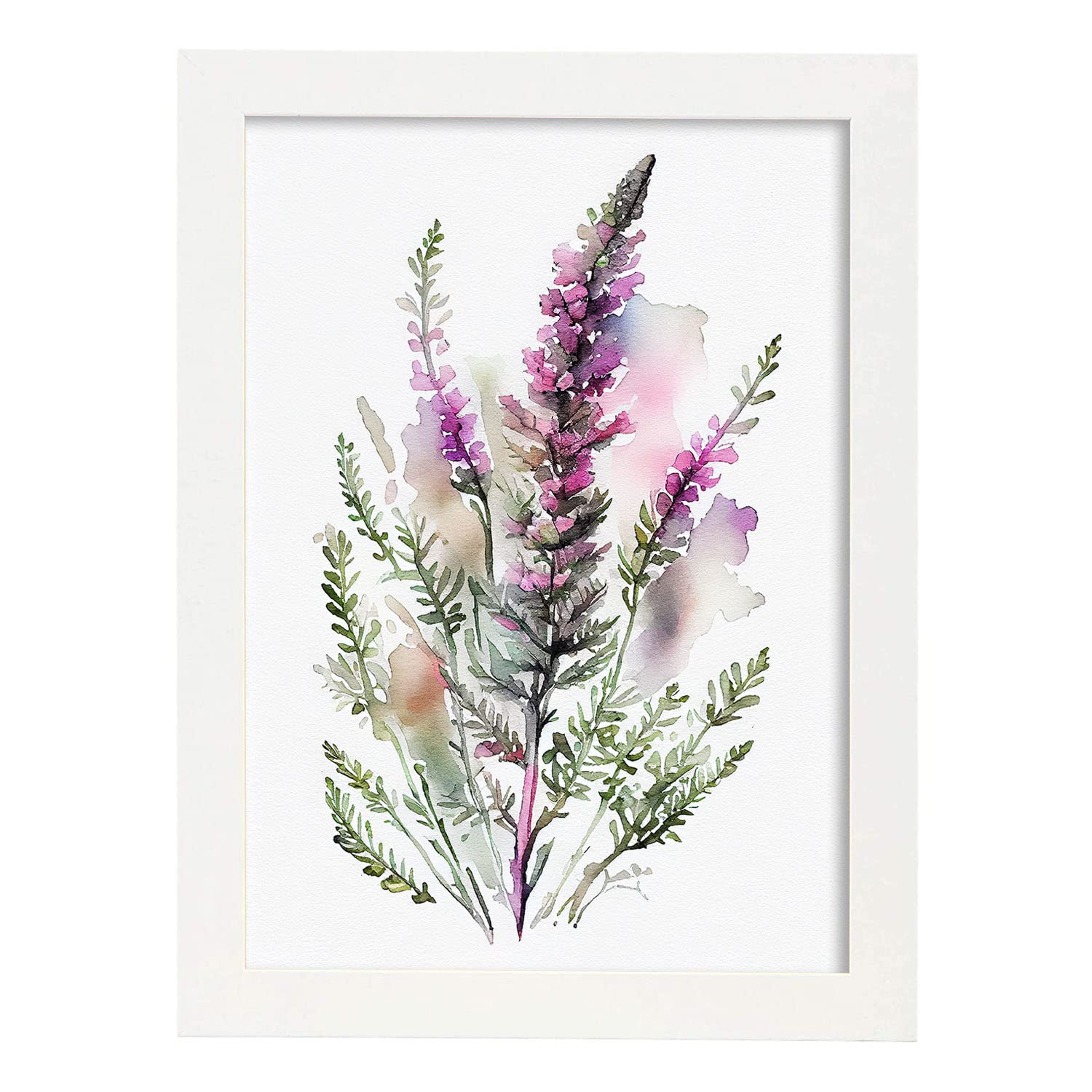 Heather Plant Drawing Heather Scotland: Over 361 Royalty Free