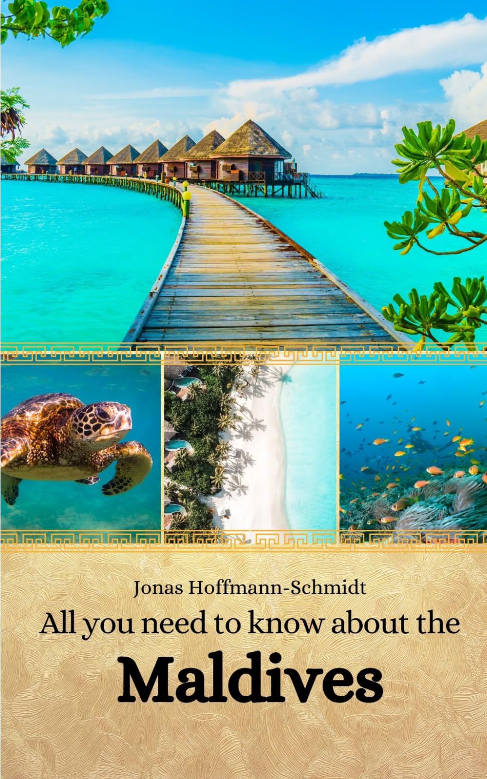 All you need to know about the Maldives: Hoffmann-Schmidt, Jonas ...