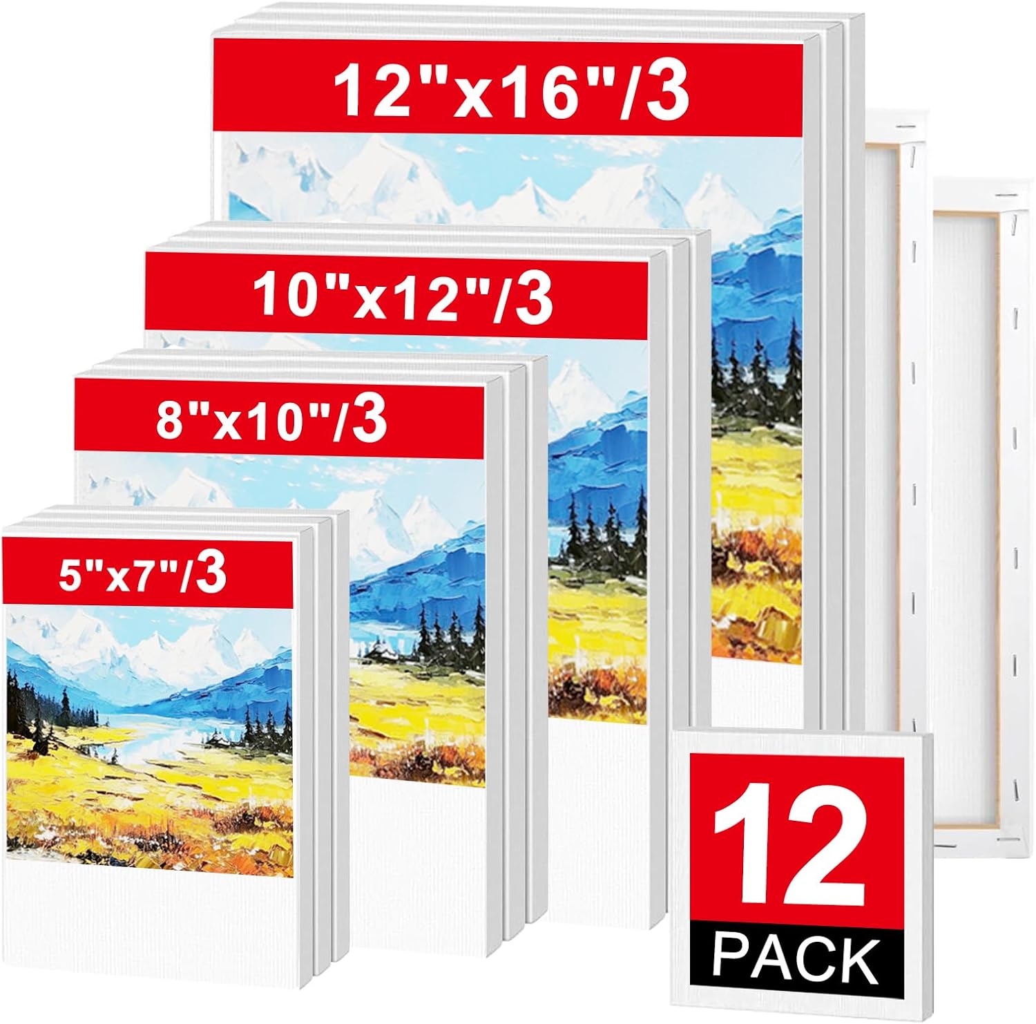 Amazon.com: Paroto Canvas Boards for Painting 12 Pack, Multi-Size ...