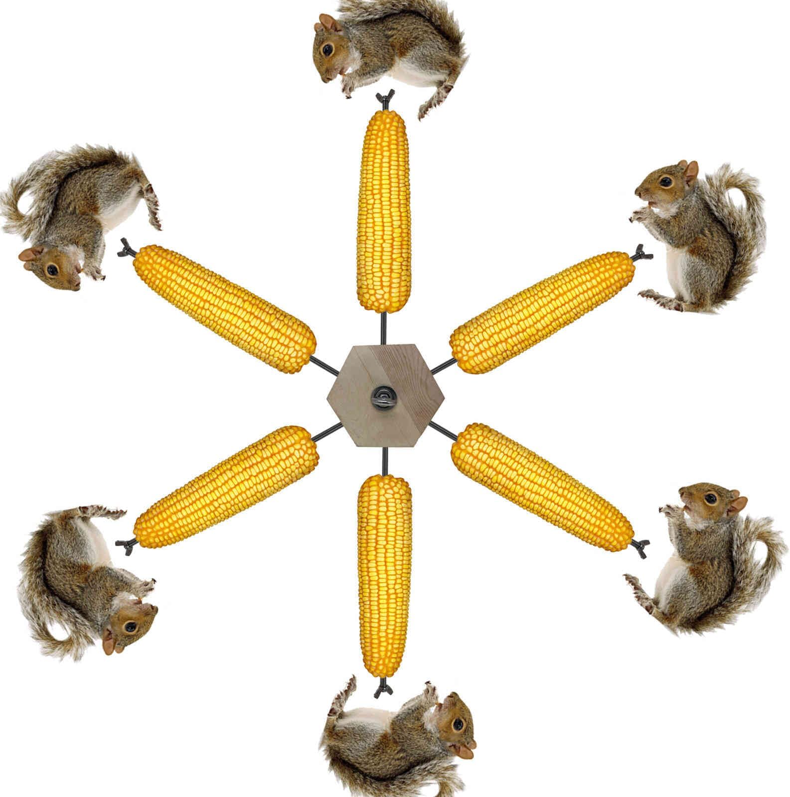 Amazon.com : Windmill Squirrel Feeder for Outside, Squirrel Toys ...