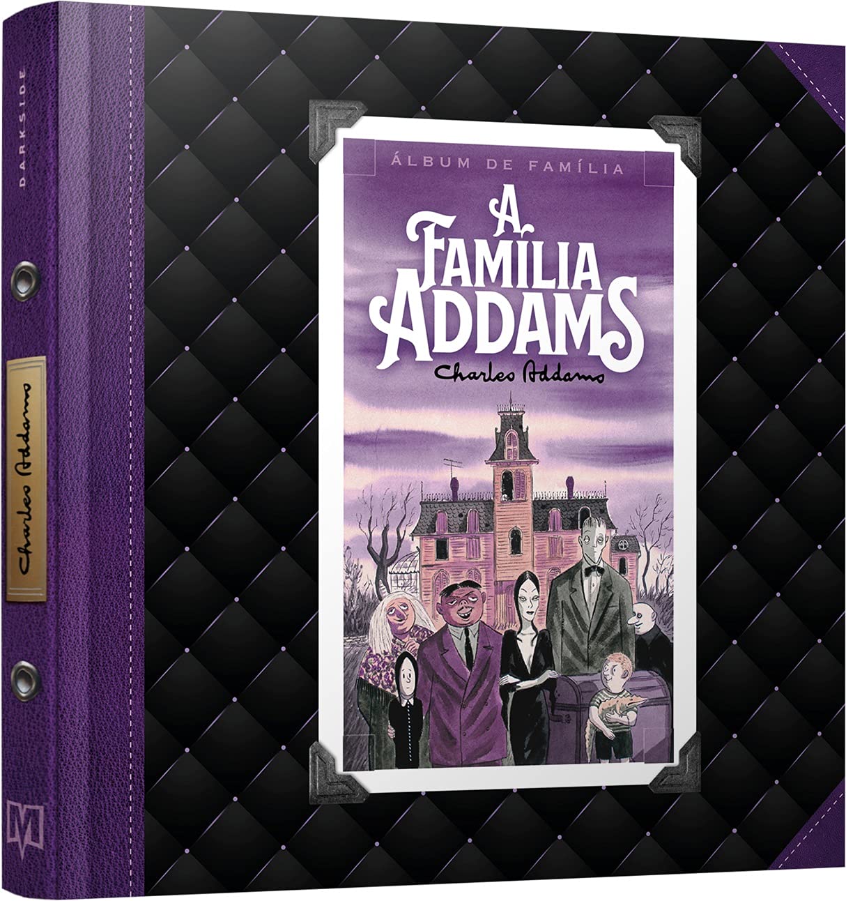Amazon.com: A Família Addams: Álbum de Família: 9786555981308: Charles ...