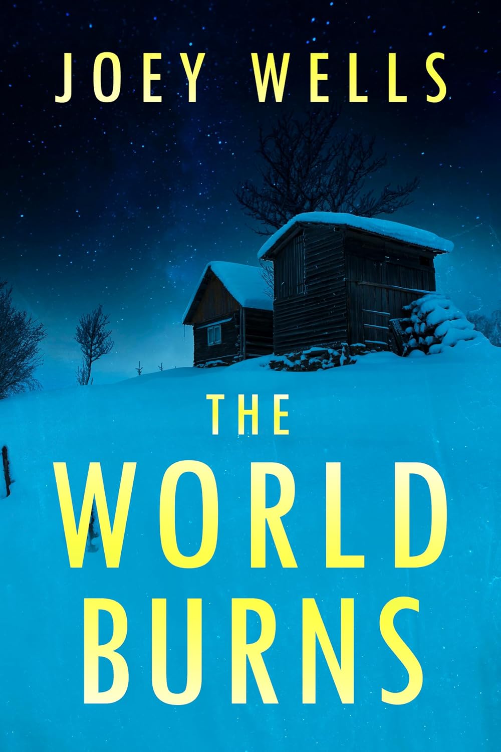 Amazon.com: The World Burns: An EMP Post Apocalypse Prepper Survival ...