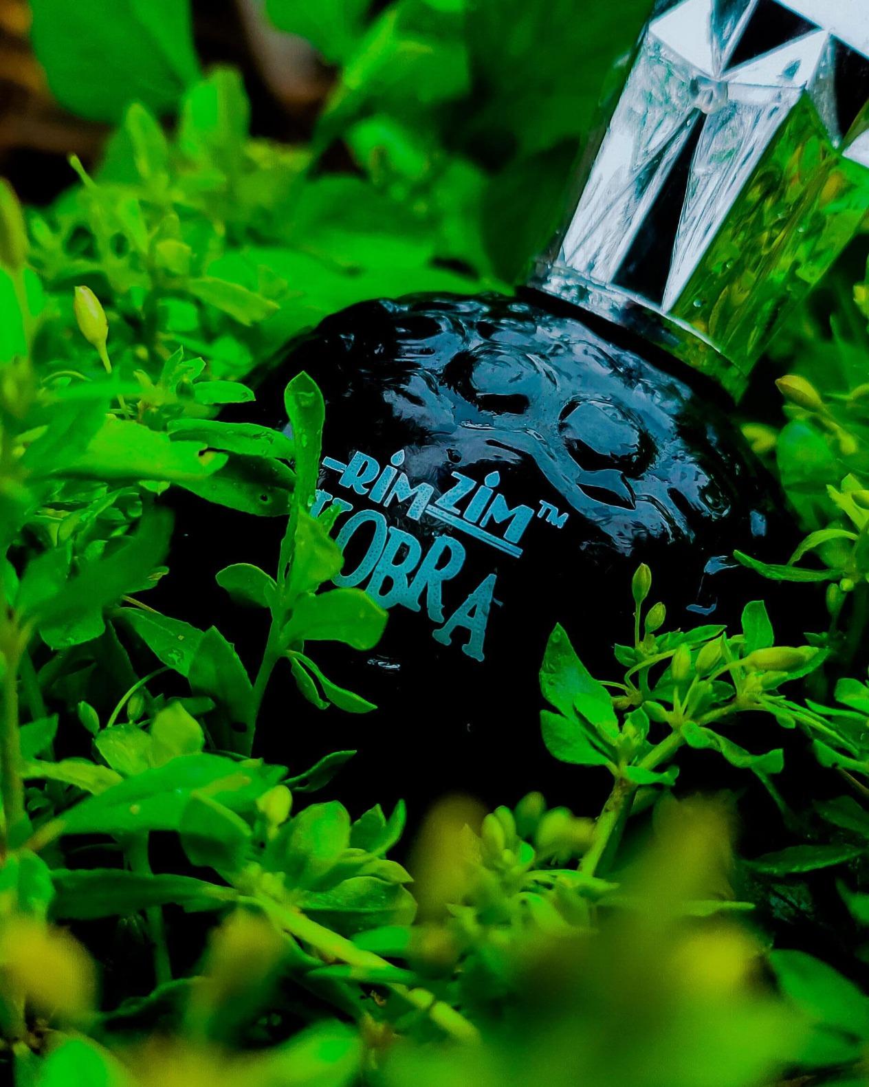 Buy ST. JOHN COBRA Irresistible Scent Fresh & Soothing Real Man and ...