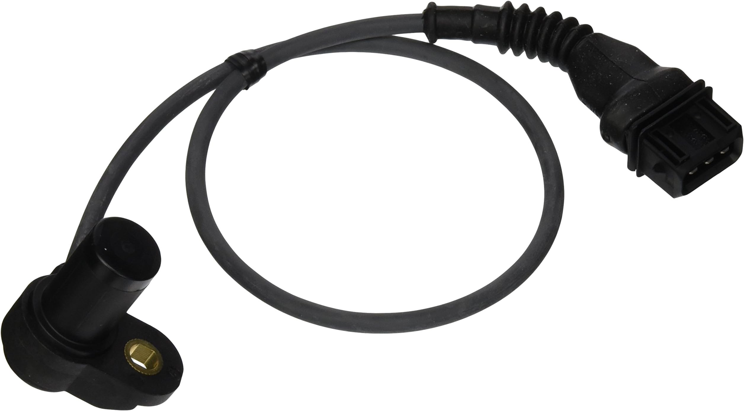 Amazon.com: BMW 12147539165 Intake Camshaft Position Sensor (Genuine ...