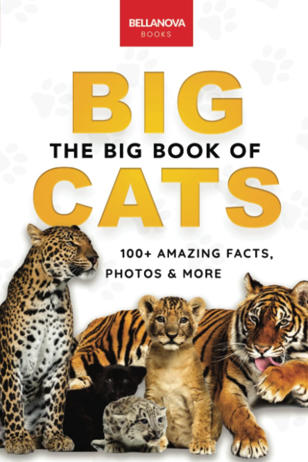 The Big Book of Big Cats: 100+ Amazing Facts About Lions, Tigers ...