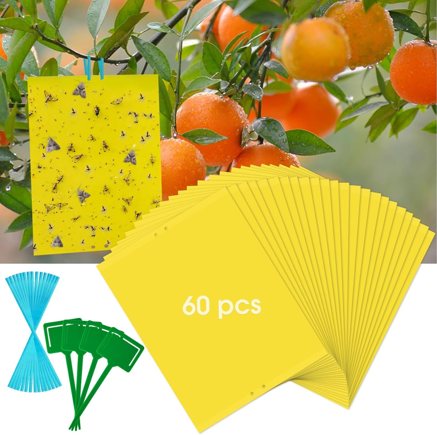Amazon.com : Dwcom 60 Pack Yellow Sticky Traps for Gnats Fruit Fly ...