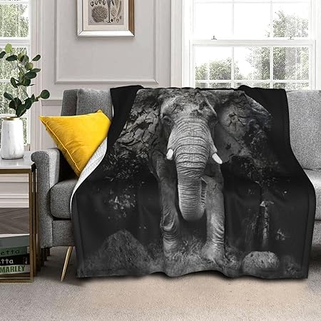 Amazon.com: HommomH Elephant Blanket,African Animals Sunlight,Soft ...
