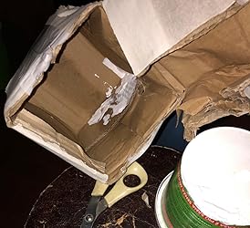 Muffa ko Tecnostuk lt.1 : Amazon.it: Salute e cura della persona