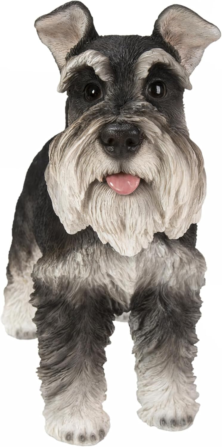 Amazon.com : Hi-Line Gifts 18" Standing Miniature Schnauzer Outdoor ...