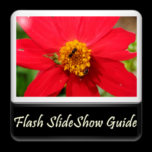 Flash SlideShow Guide - App on Amazon Appstore