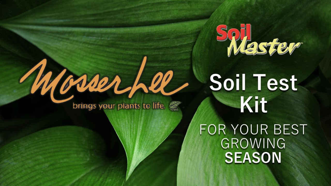 Watch Mosser Lee Soil Master Soil Test Kit - 40 Tests on Amazon Live