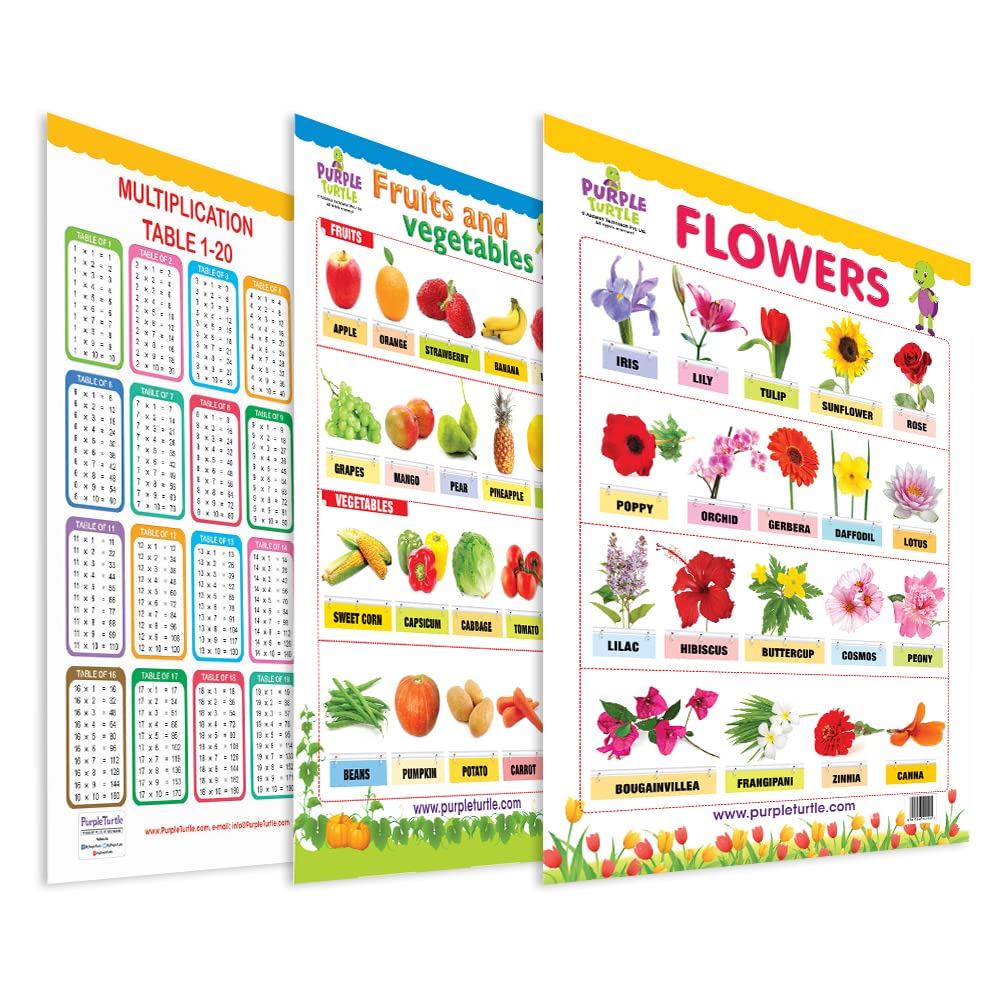 Buy Flowers, Fruits & Vegetables and Multiplication Table Educational ...