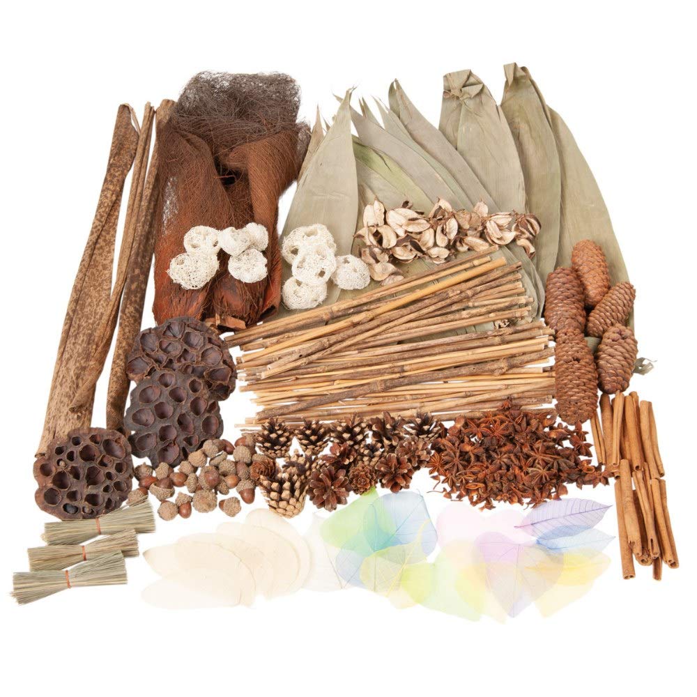 READY 2 LEARN Naturals - Real Botanical Assortment - Over 200 Plant ...