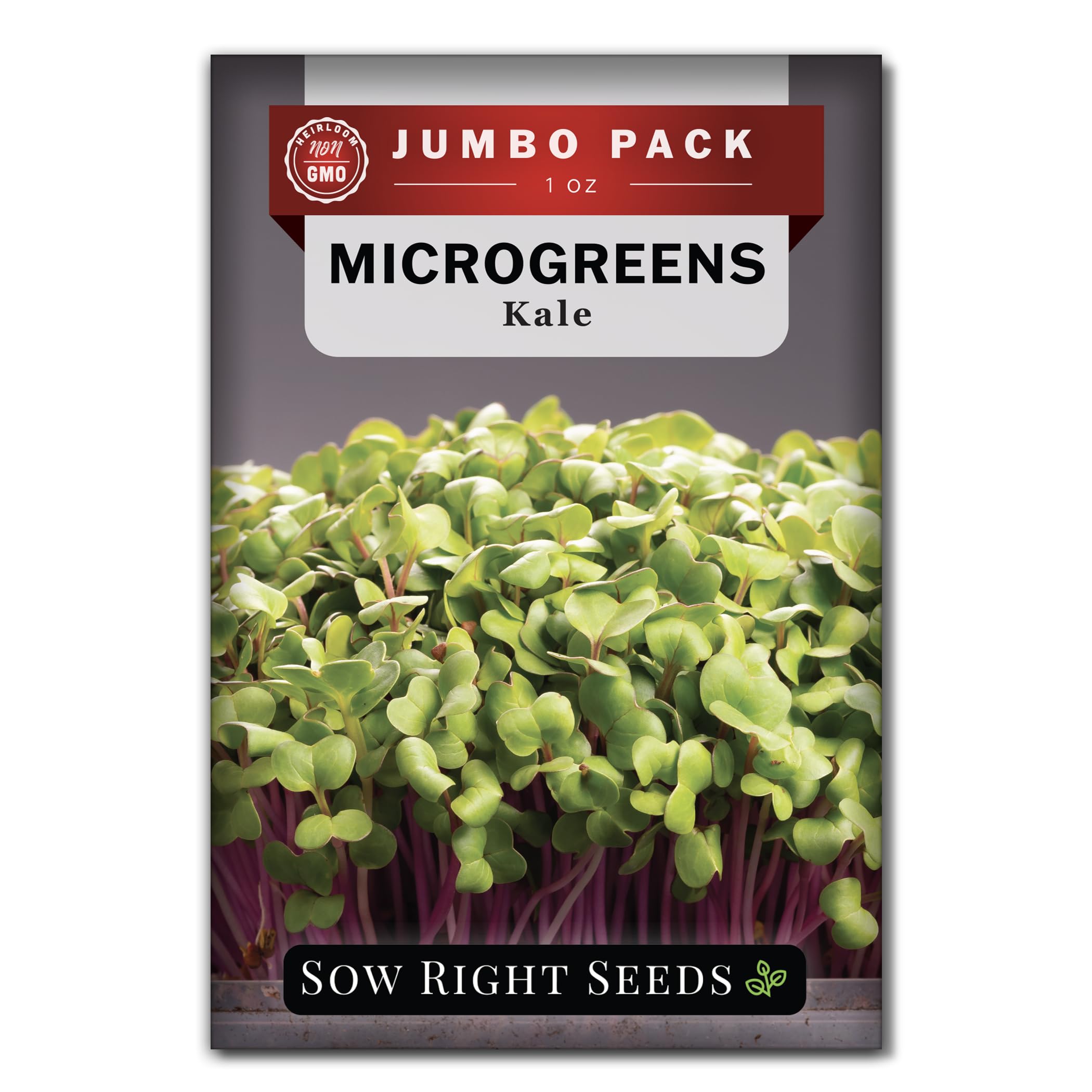 Amazon.com : Sow Right Seeds - Bulk Kale Microgreen Seeds for Growing - 1 Ounce, 7700 Seeds ...