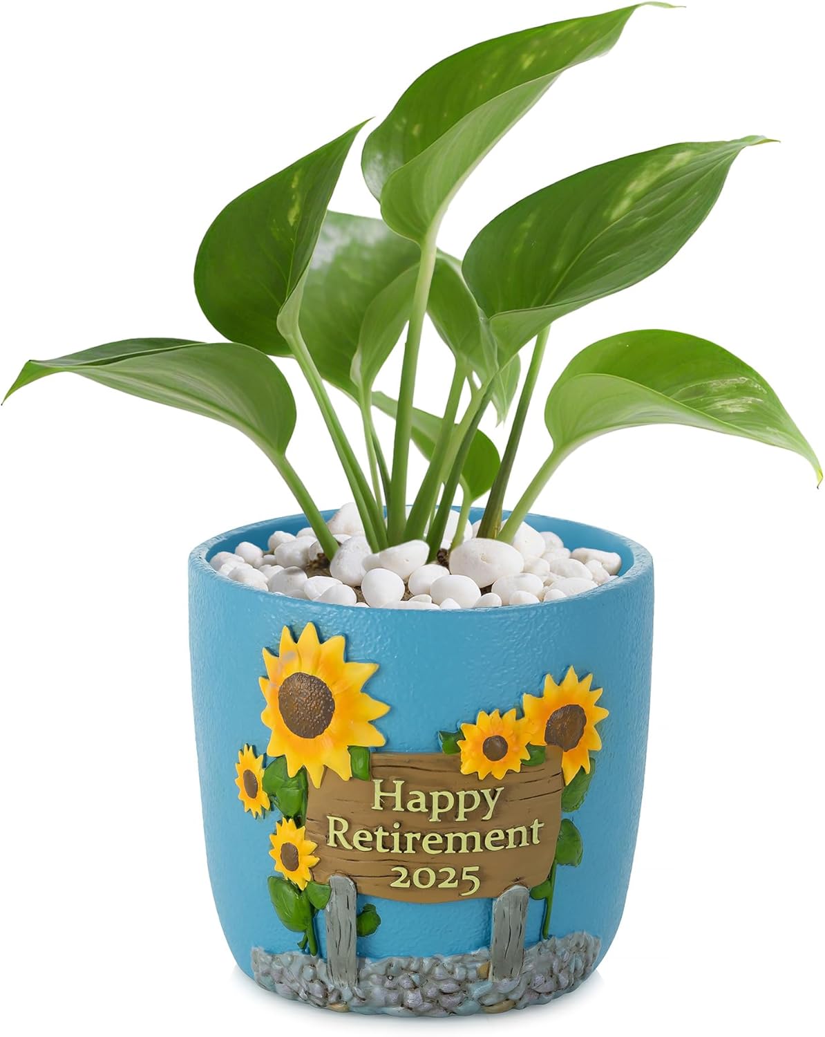 Amazon.com : Afigurna Plant Pot Retirement Gift for Woman - Happy ...