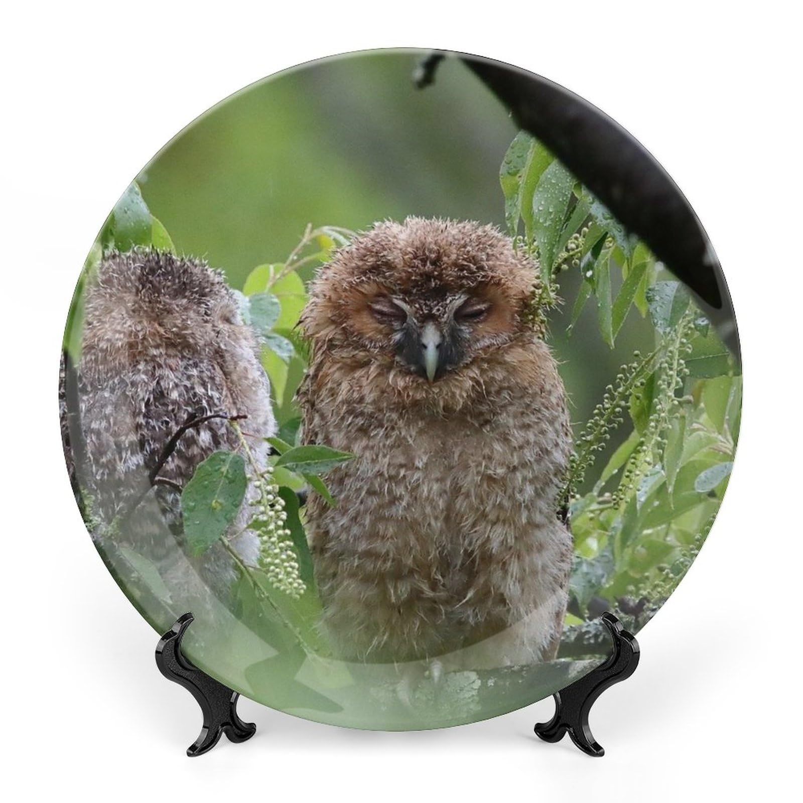 Amazon.com: Bird Owl Forest Tree on Plate for Home Office Wall Decor ...