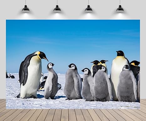 Amazon.com : CHNYWORK 5ftx3ft Antarctica Penguins Backdrop Emperor ...