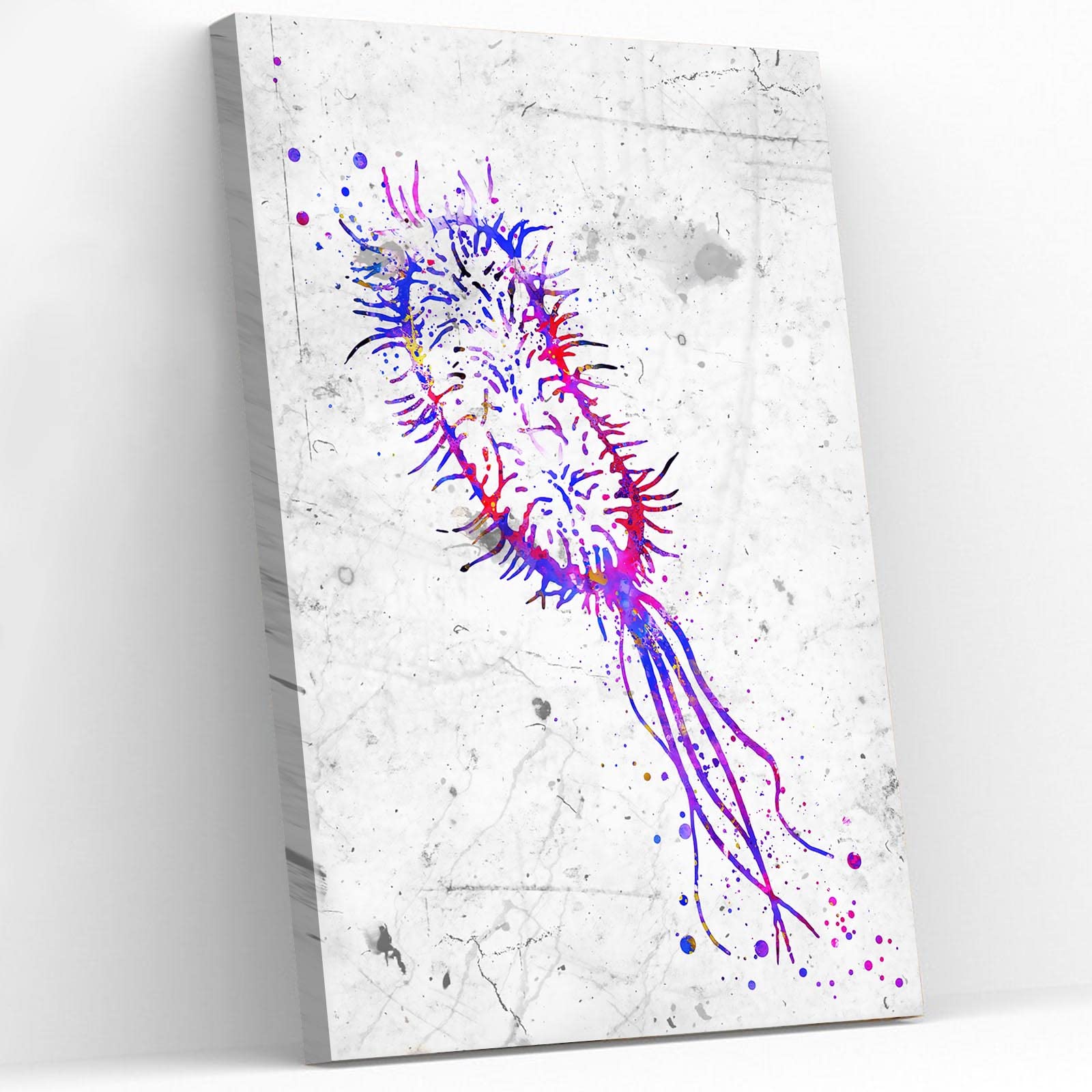 Microbiology Wall Art