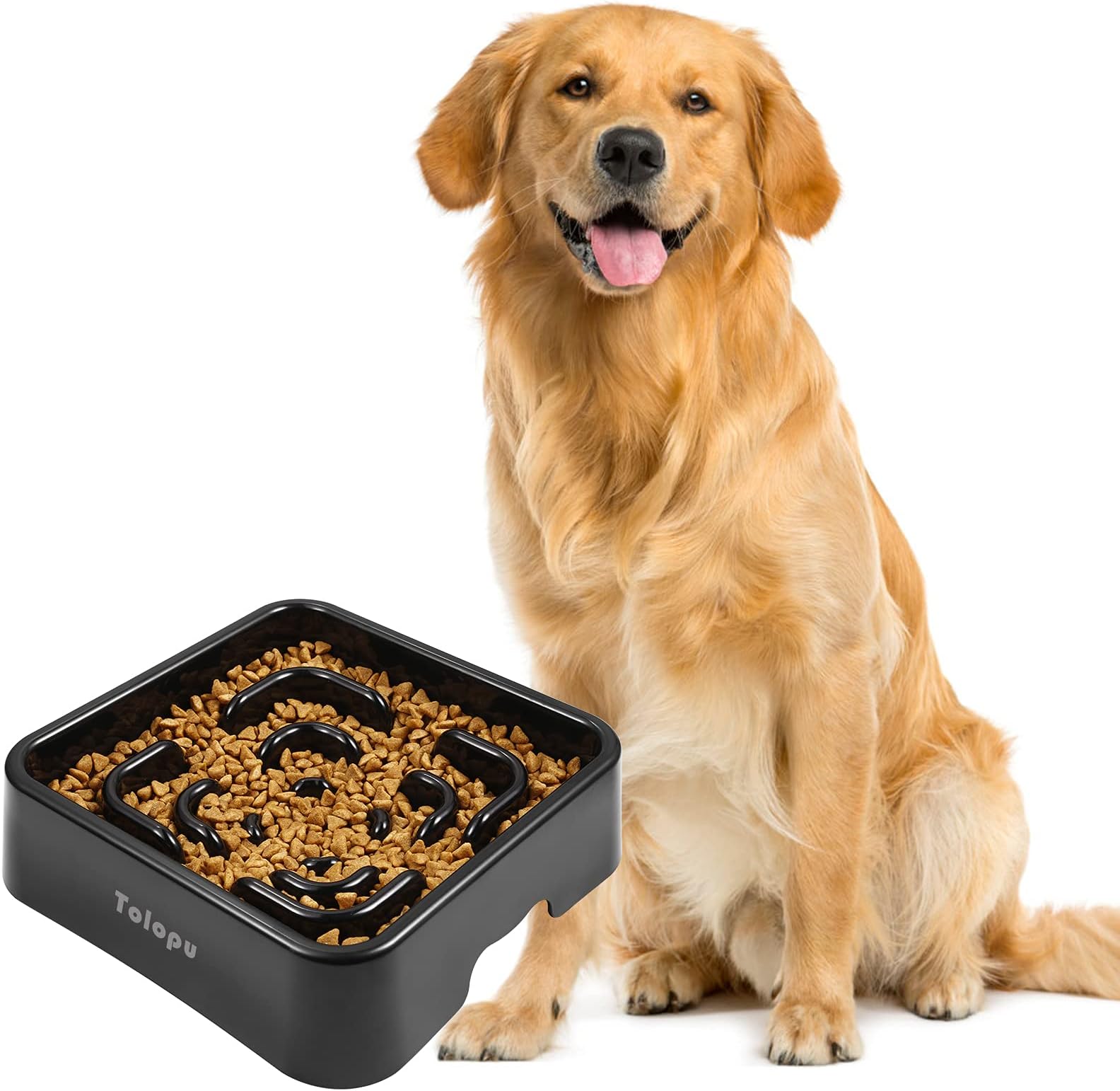Dogit Dog Bowl Slow Feeder for Wet or Dry Dog Food, Go Slow Anti ...