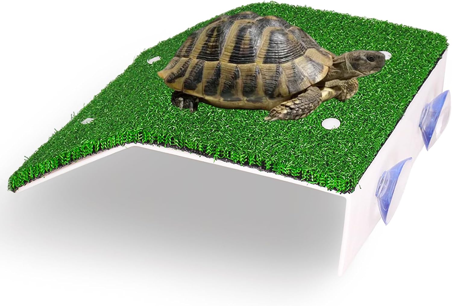 Amazon.com: Dexspoeny Lawn Basking Platform for Turtle, Simulated Grass ...