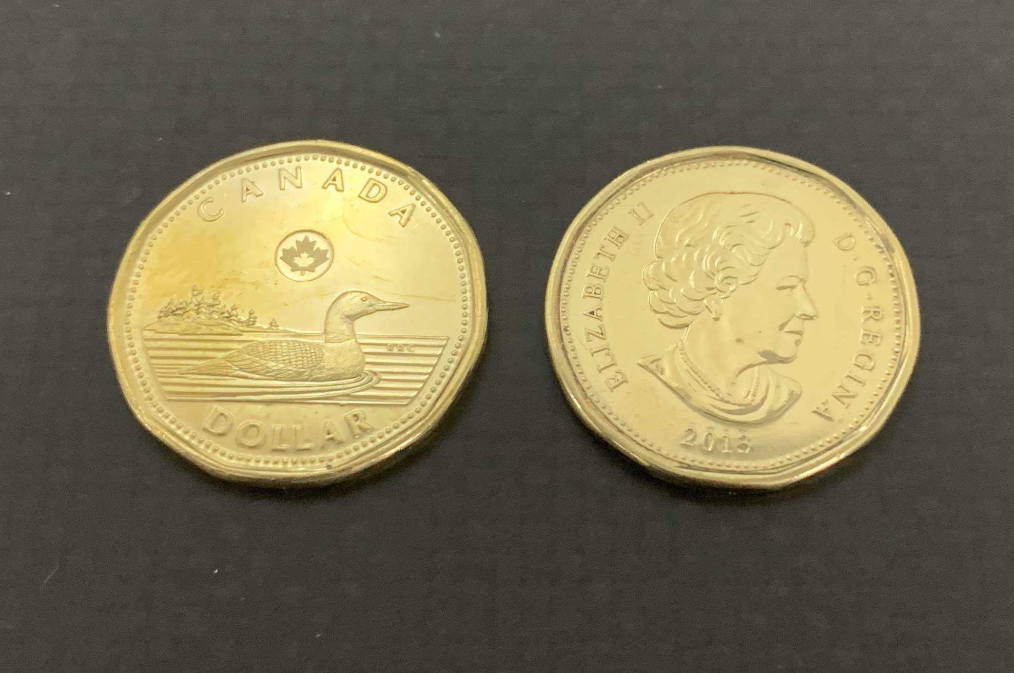Pair of Double Sided Coin - Loonie Same Side Coin Pair - Double Sided ...
