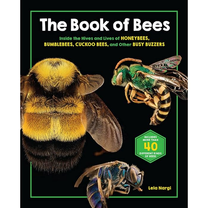 Buy The Book of Bees: Inside the Hives and Lives of Honeybees ...