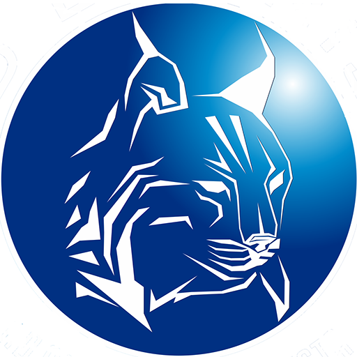 Identify wanted (Criminals and Kidnapped-Missing) persons and protect ...