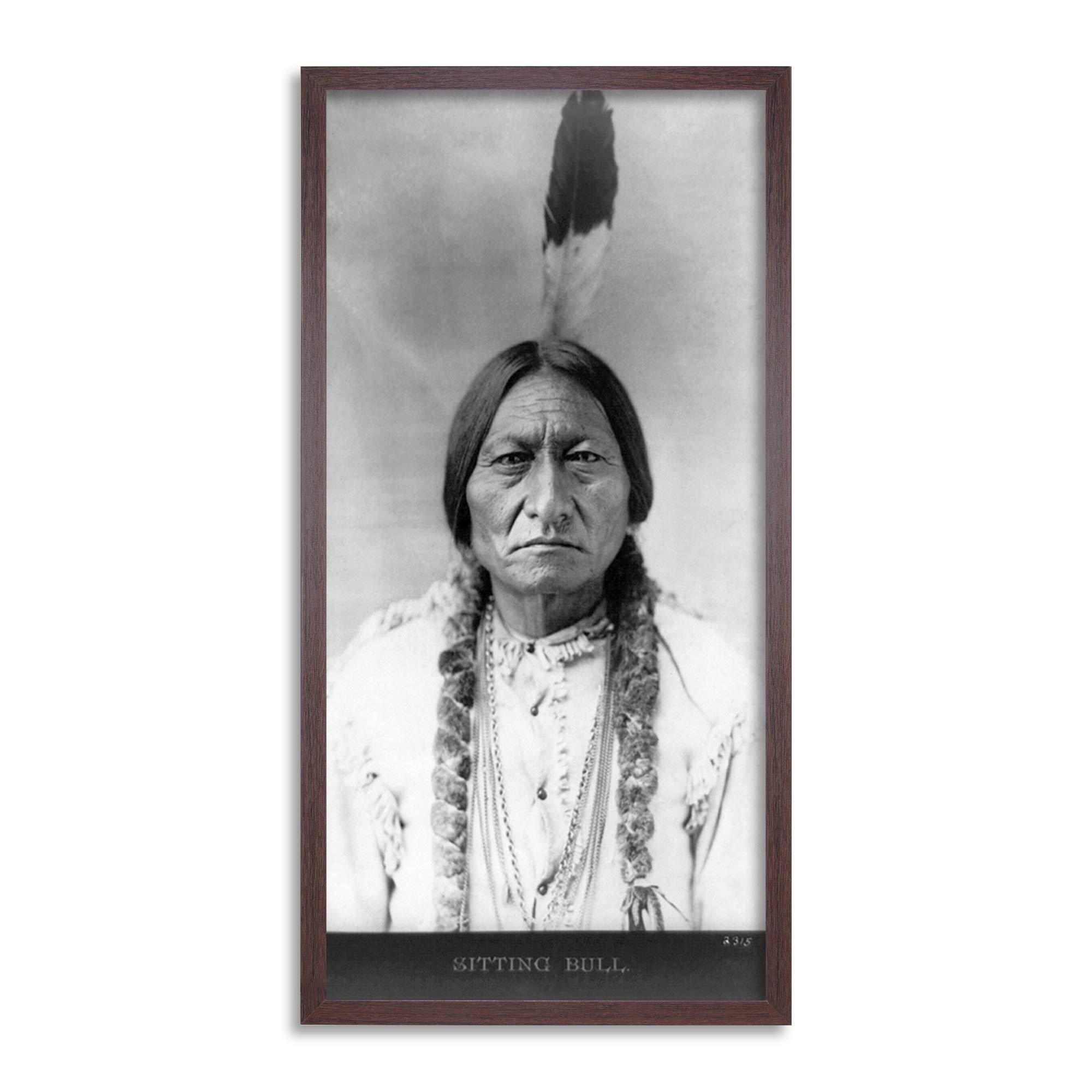 Pictures Of Sitting Bull As A Chief