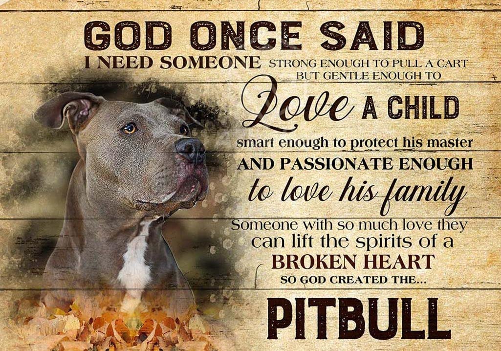 Funny Pitbull Pictures With Quotes