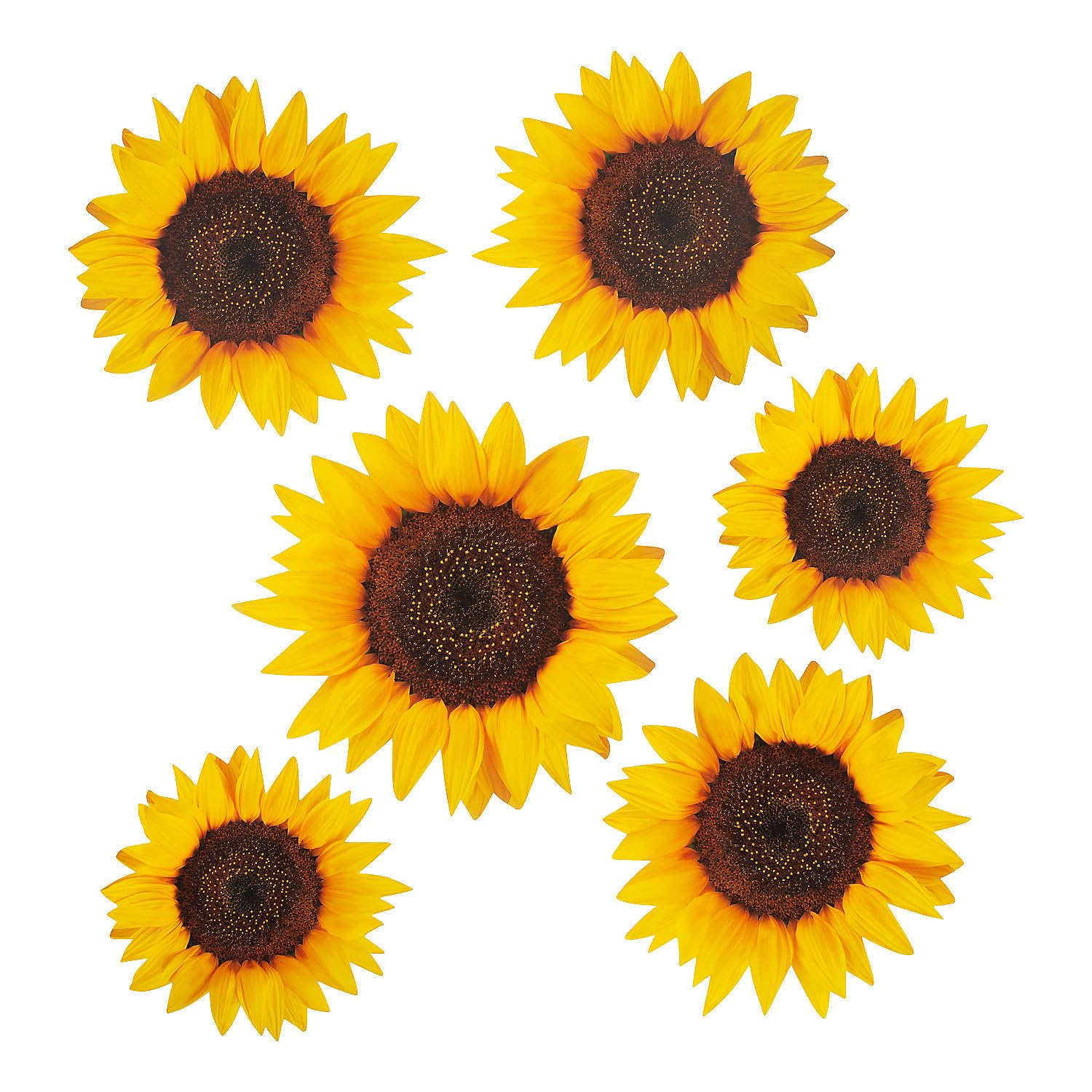 Amazon.com: Fun Express Sunflower Cutout Decorations - 6 Pc : Home ...