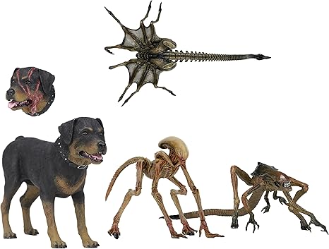 Amazon.com: NECA Alien 3: Accessory Pack – Creature Pack : Toys & Games