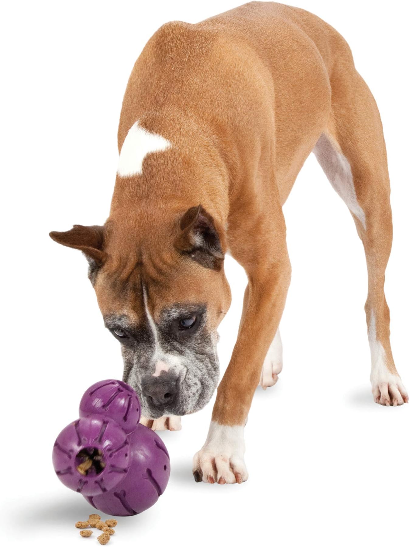 Pet Supplies : PetSafe Sportsmen Kibble Nibble Feeder Ball Pet Chew Toy ...