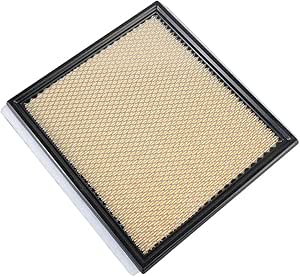 FA2031 Filtro de aire compatible con FORD F250 F350 F450 F550 SUPER ...