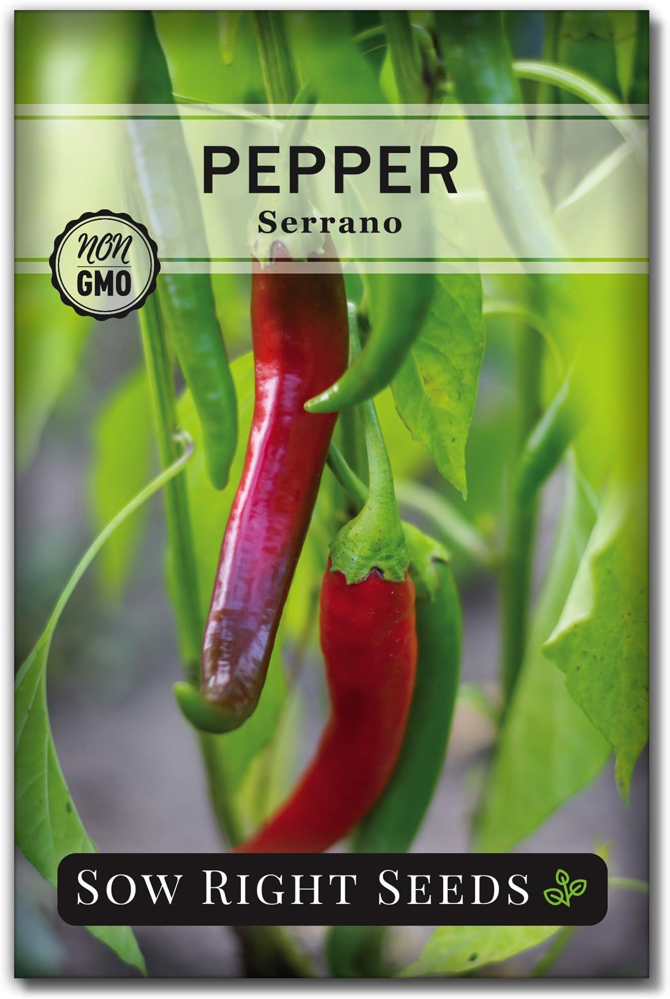 Amazon.com: Serrano Chili Pepper Seeds - 200 Seeds Non-GMO : Patio ...