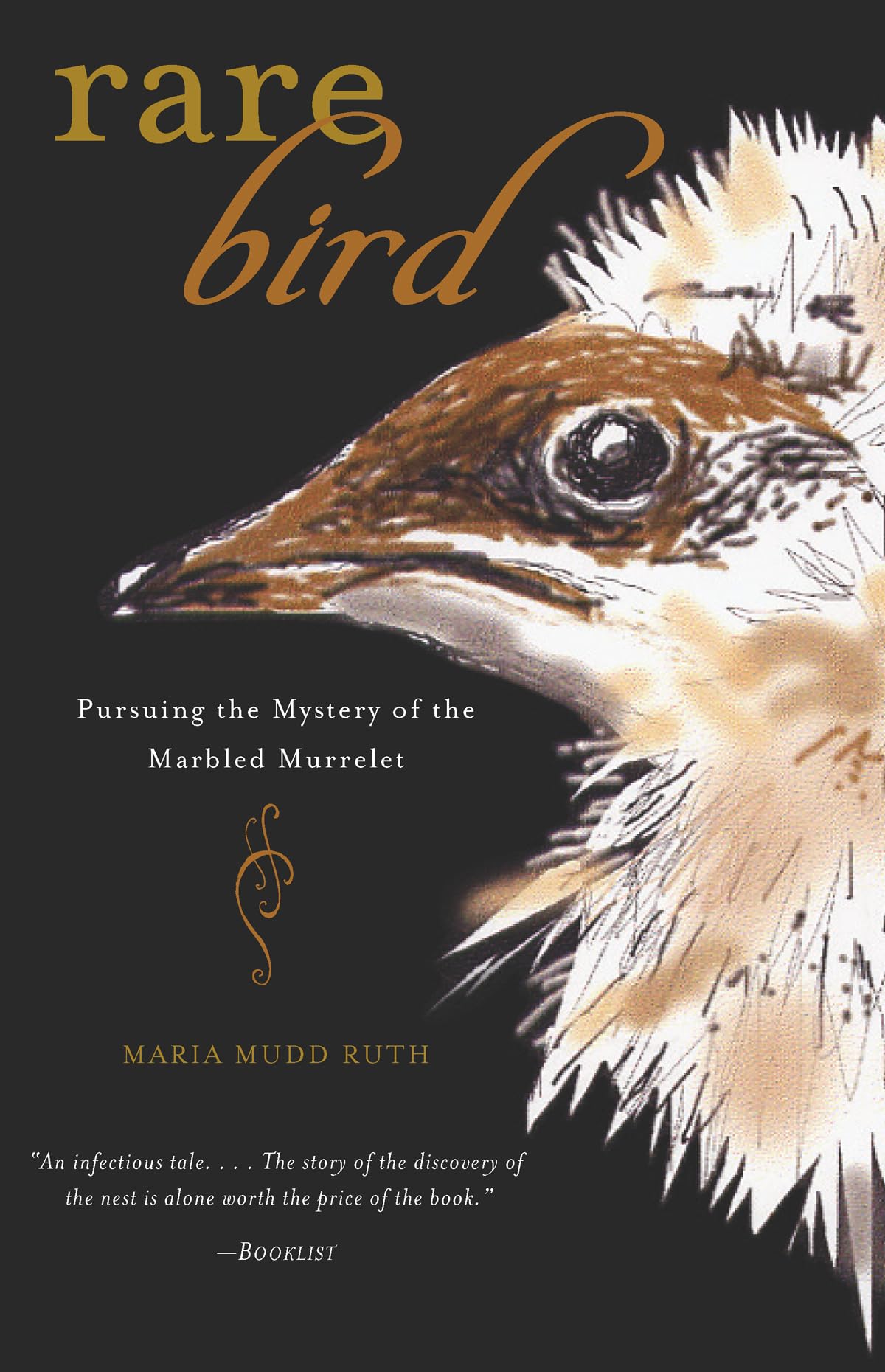 Rare Bird: Pursuing the Mystery of the Marbled Murrelet: Ruth, Maria ...