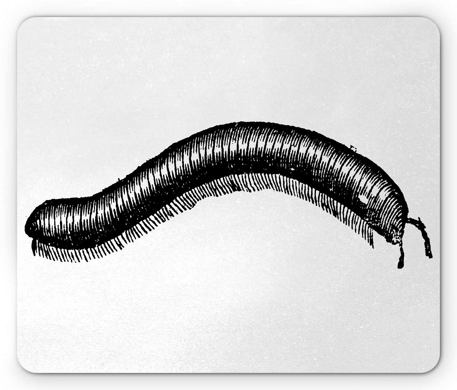 Millipede Drawing