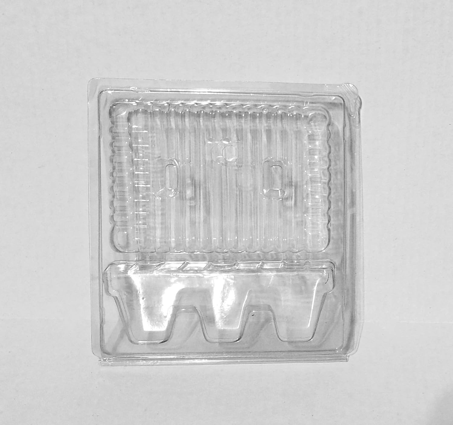 Amazon.com: Lil Gnomies Live Plant Shipper 3-Cell 4"" Foliage Height ...