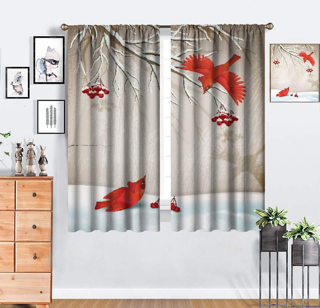 Amazon.com: Birds Decor Blackout Blind Shades, Winter Landscape with ...