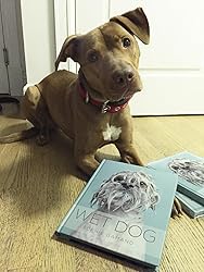 Amazon.com: Wet Dog: 9781455531479: Gamand, Sophie: Books