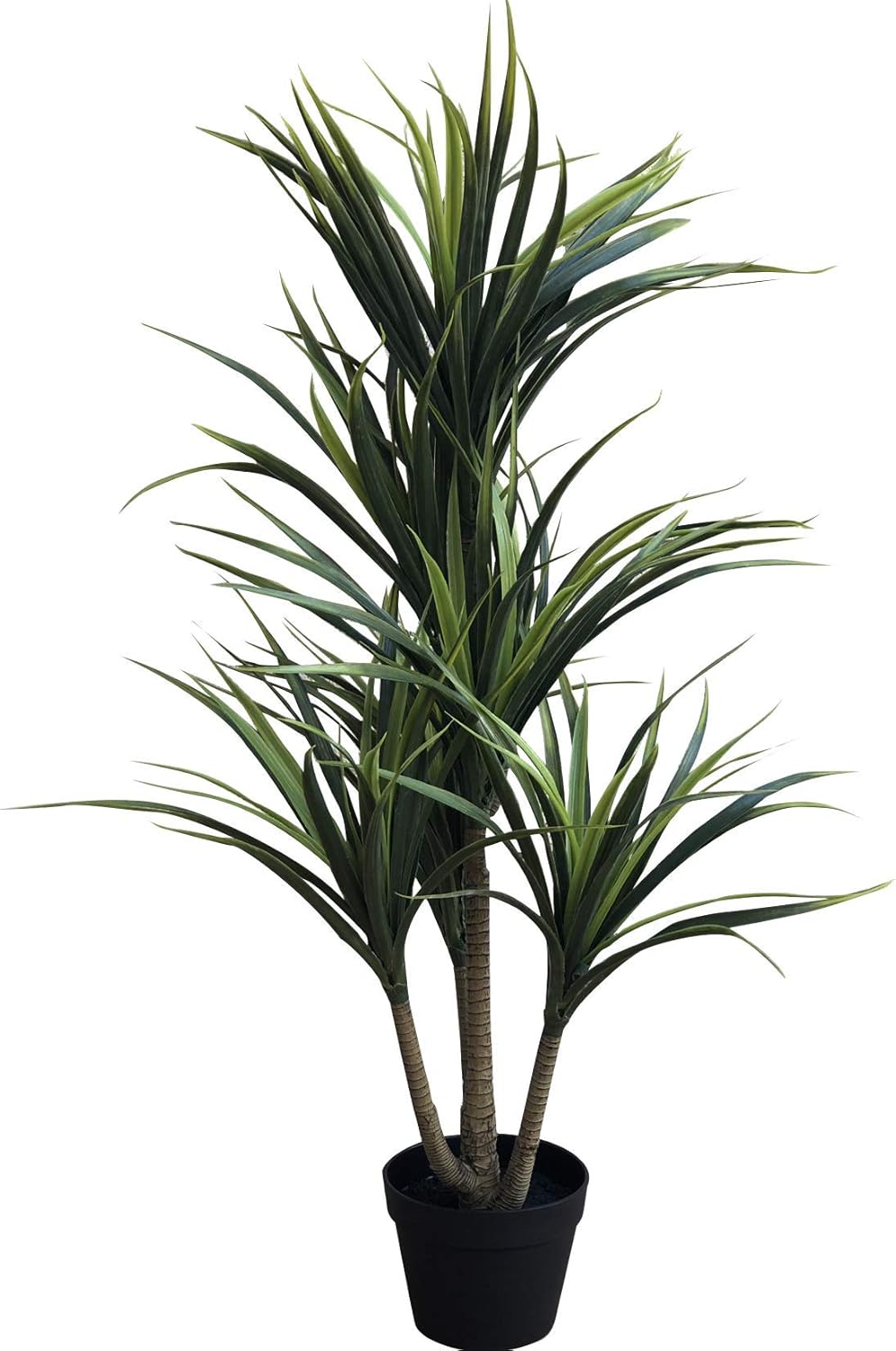 Amazon.com: AMERIQUE Green Gorgeous 3.5 Feet Tropical Yucca Artificial ...