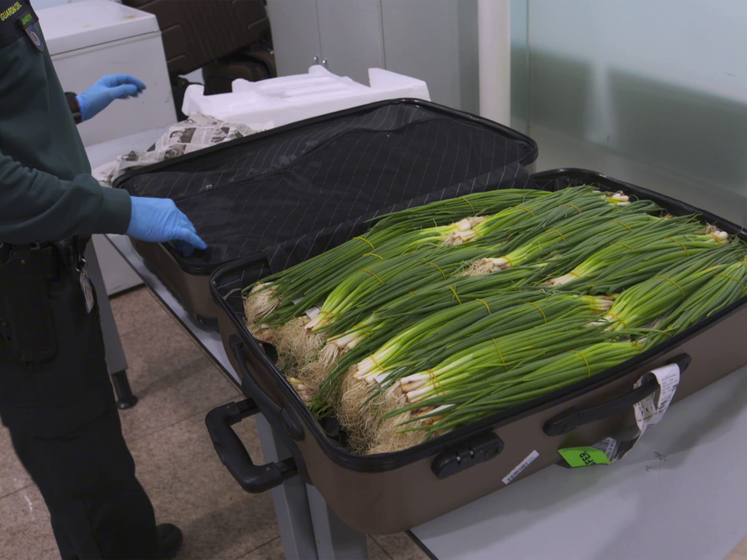 Amazon.de: Border Control - Spaniens Grenzschützer - Season 6 ansehen ...