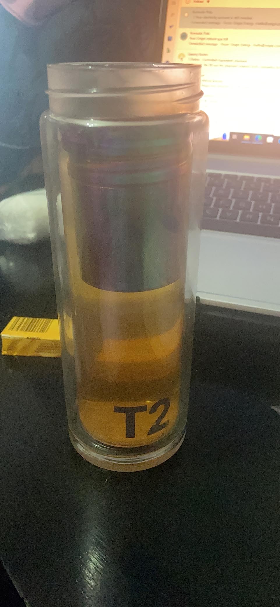 T2 Tea Boxed Double Walled Glass Flask with Stainless Steel Infuser ...