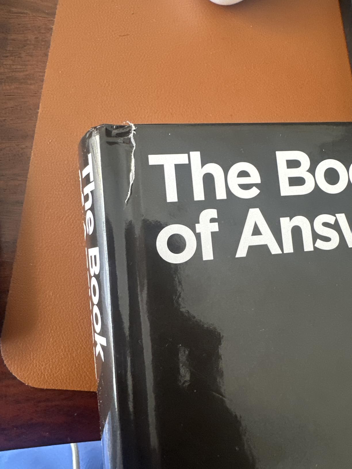 The Book of Answers : Bolt, Carol: Amazon.in: Books