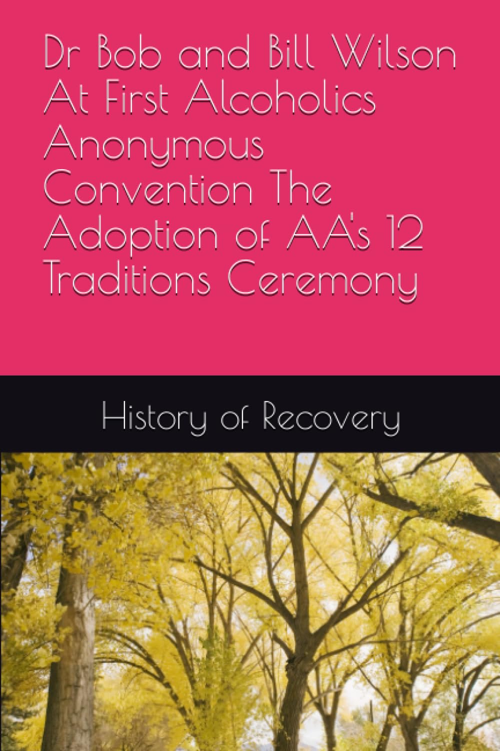 Dr Bob and Bill Wilson At First Alcoholics Anonymous Convention The ...