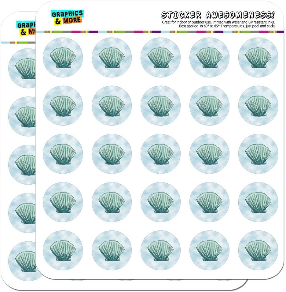 Amazon.com: Seashell Ocean Sea Creature Beach 1" Planner Calendar ...