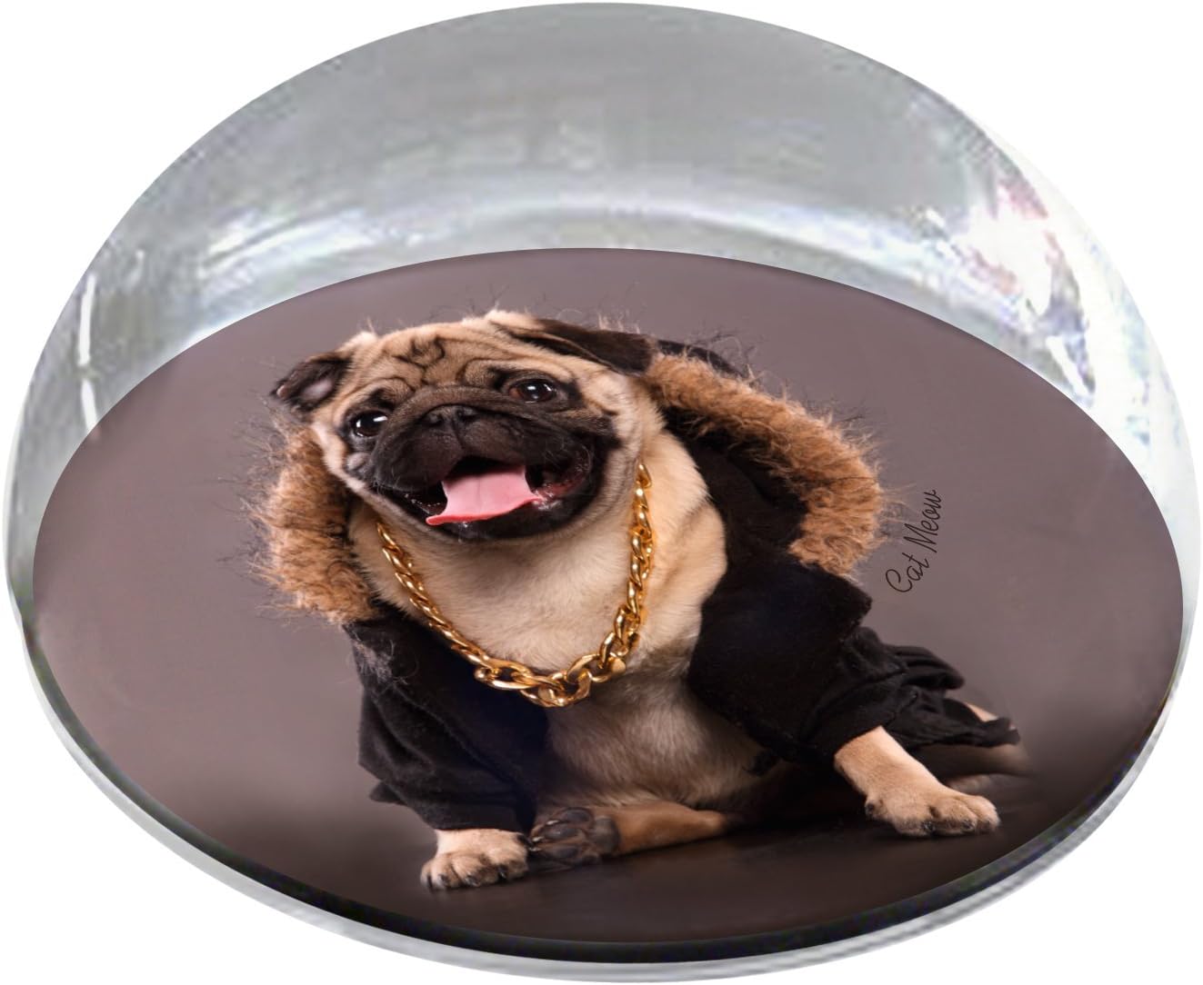 Amazon.com : Forever Crystal Hip_Pug_Dog Magnet Crystal : Pet Supplies