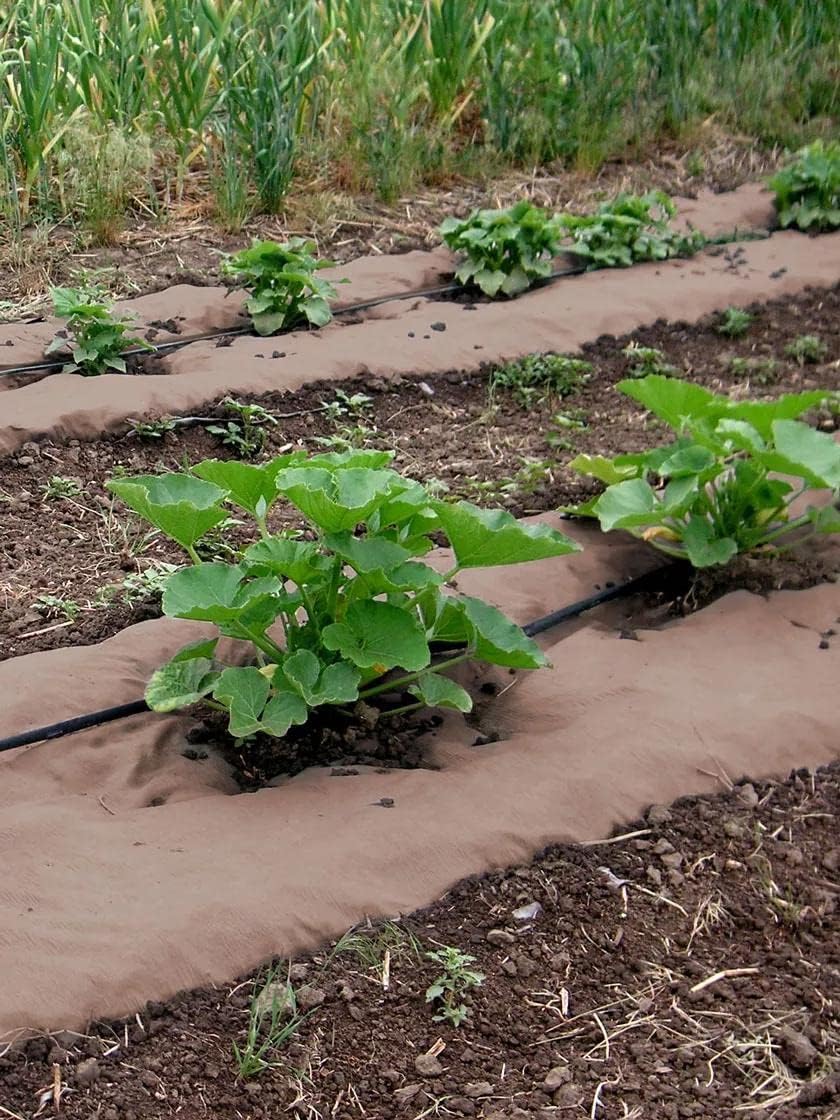 Amazon.com : Gardener's Supply Company Weedguard Plus Paper Mulch ...