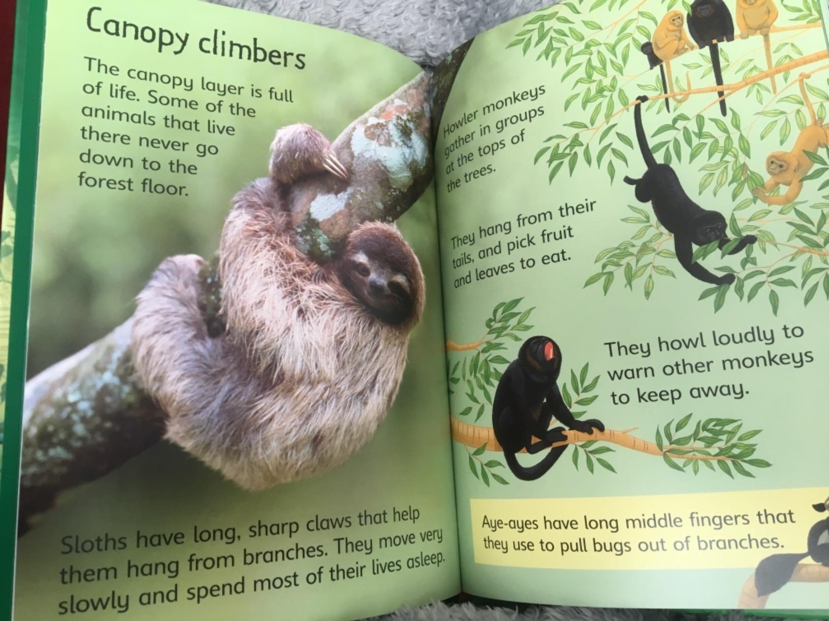 Usborne Beginners Nature 10 Books Box Set Collection (Reptiles ...